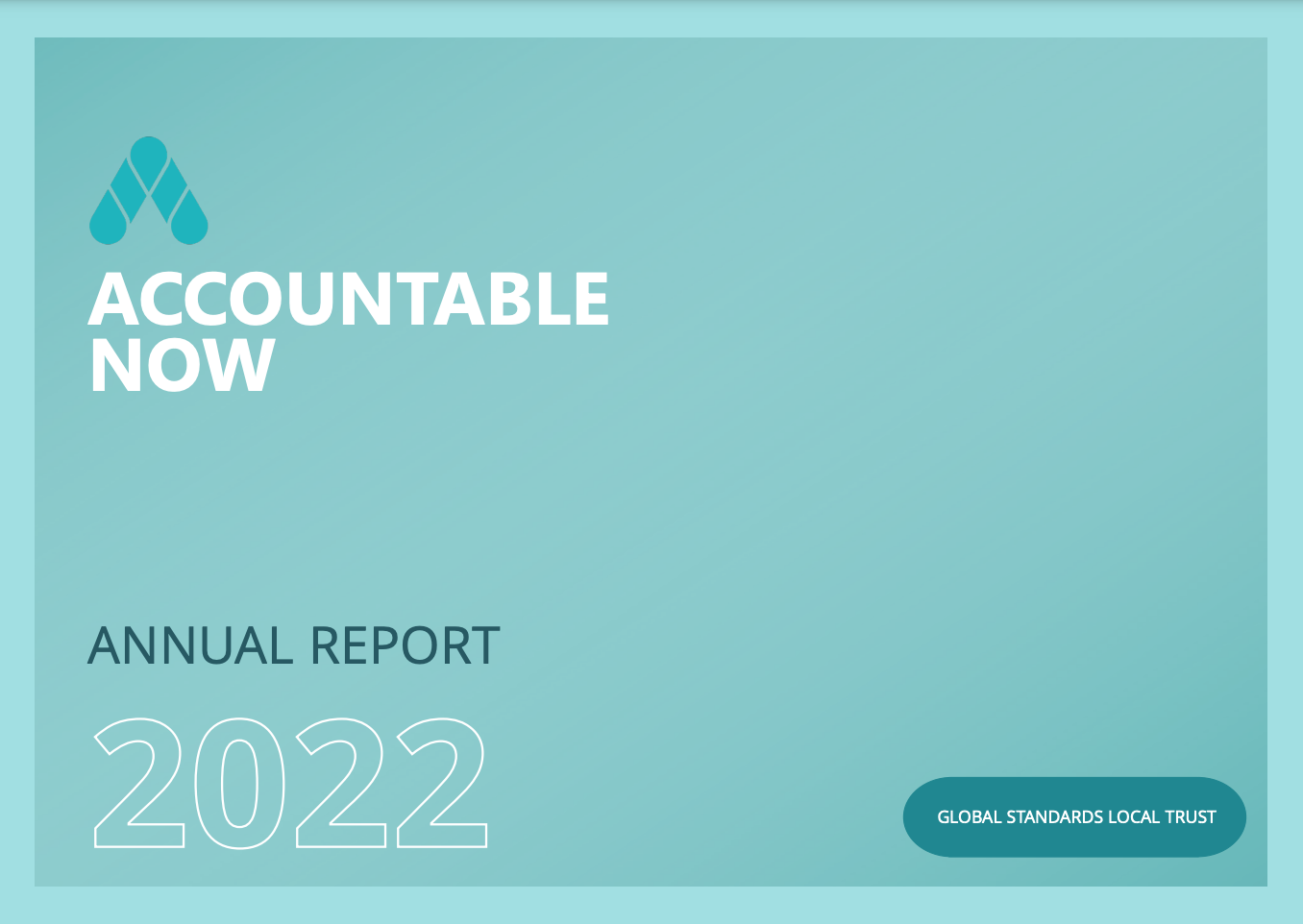 Impact & Accountability – Accountable Now