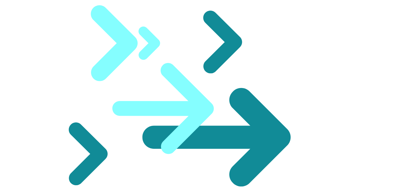 Dynamic Accountability Guidebook - Accountable Now